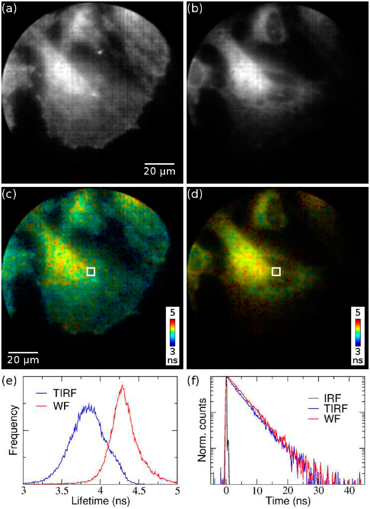 Wide-field TCSPC: methods and applications - IOPscience