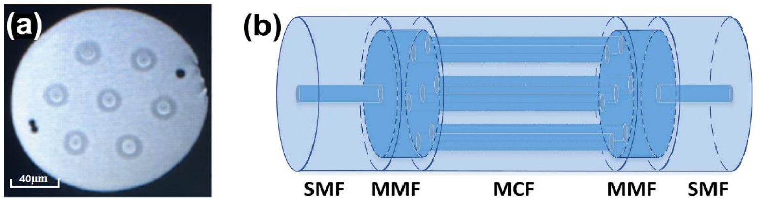 A multi-core fiber based interferometer for high temperature sensing ...