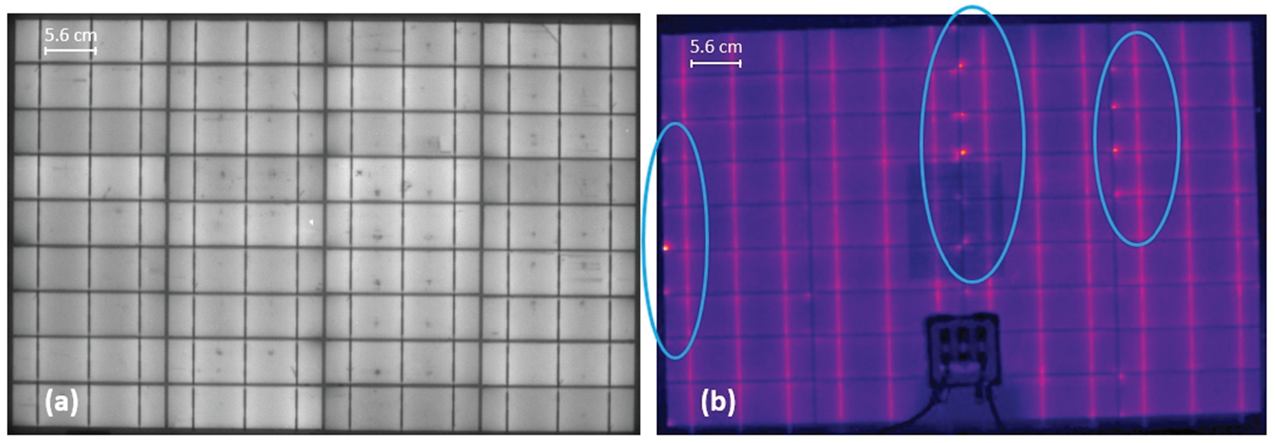 Non-destructive approach for severity investigation of shunts in ...