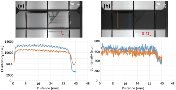 Non-destructive approach for severity investigation of shunts in ...