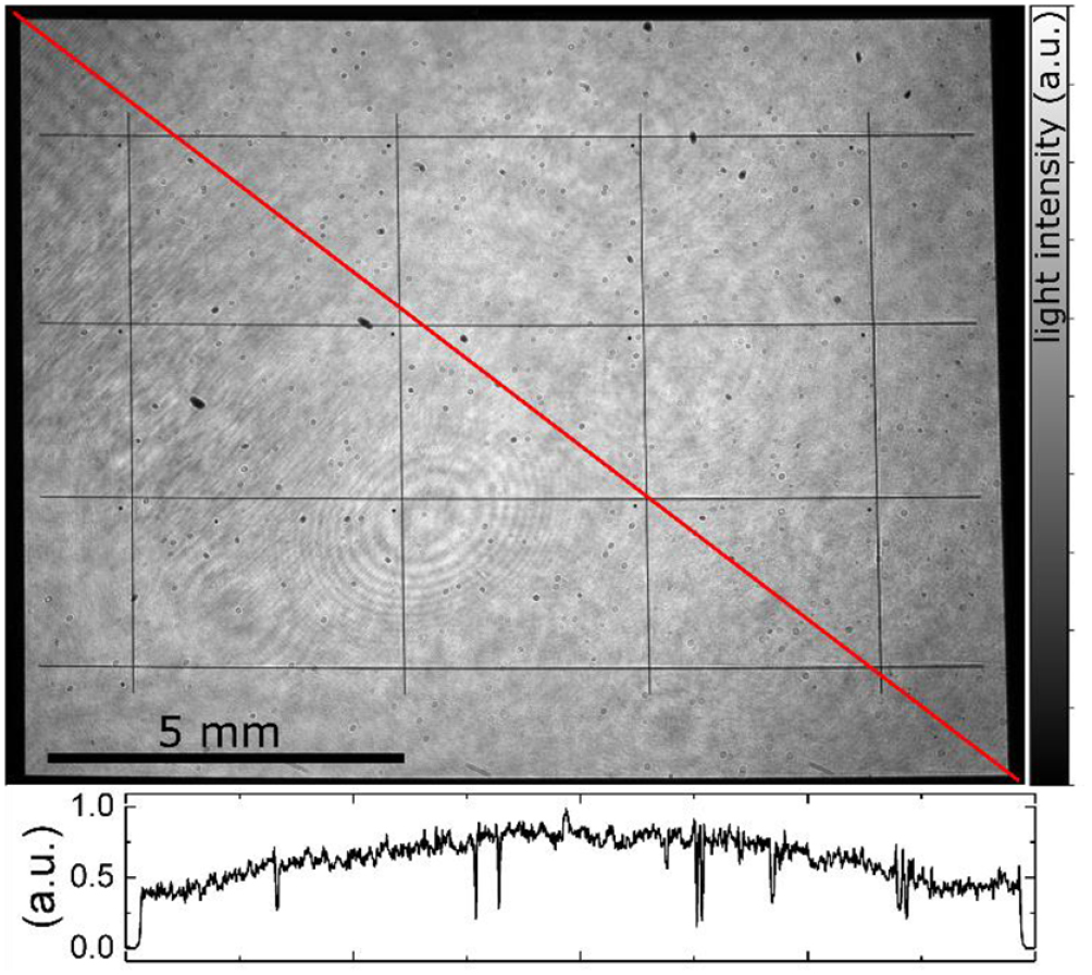 High-speed digital light source photocurrent mapping system - IOPscience