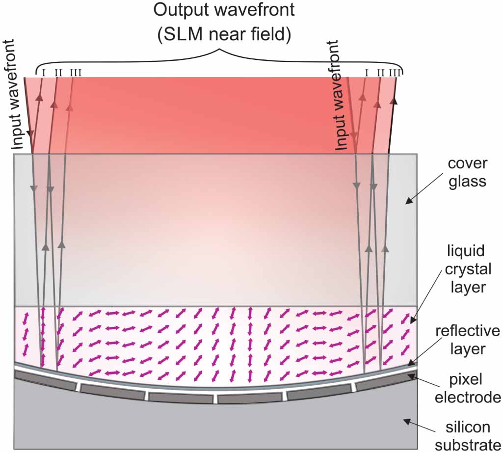 Comprehensive model and performance optimization of phase-only spatial light modulators - IOPscience