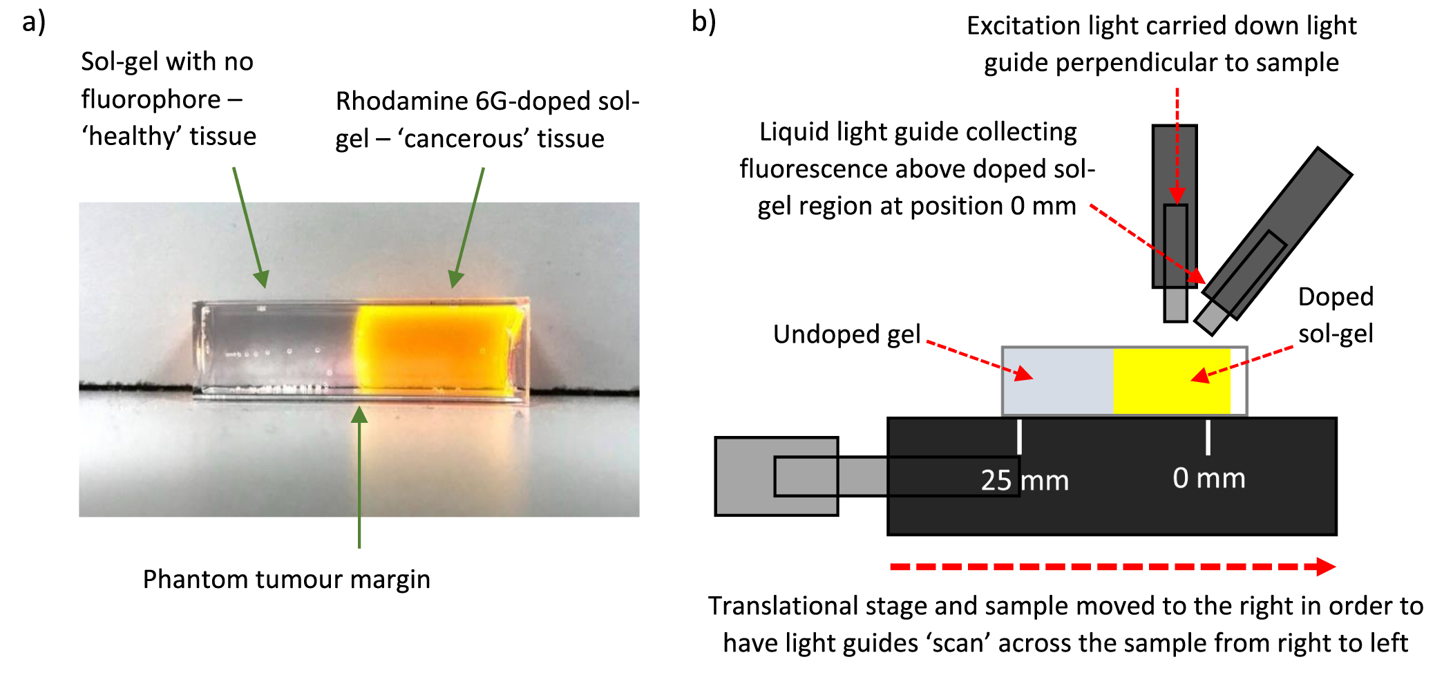 Characterization of single channel liquid light guide coupling and SPAD ...