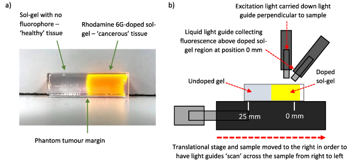 Characterization of single channel liquid light guide coupling and SPAD ...