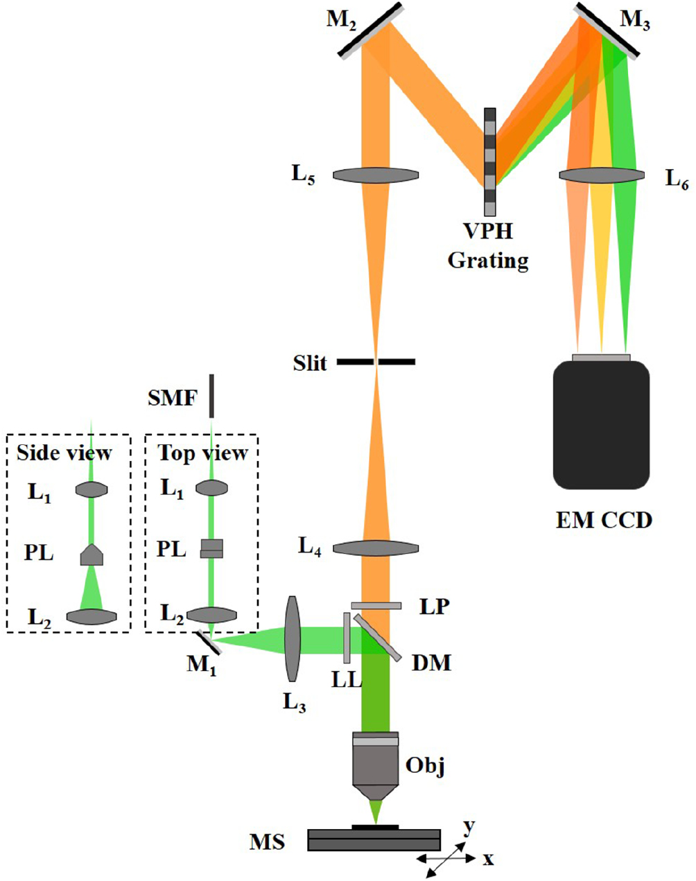 High-speed line-scan confocal Raman microscope with enhanced ...
