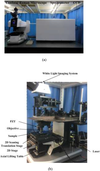 Super-resolution radially polarized pupil-filtering confocal Raman ...