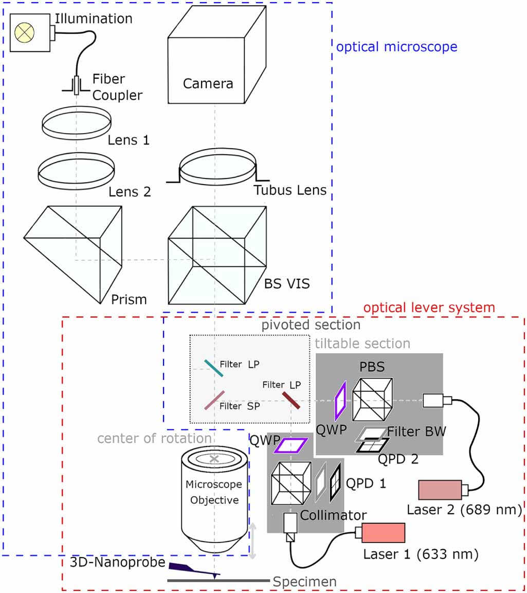 True 3D-AFM sensor for nanometrology - IOPscience