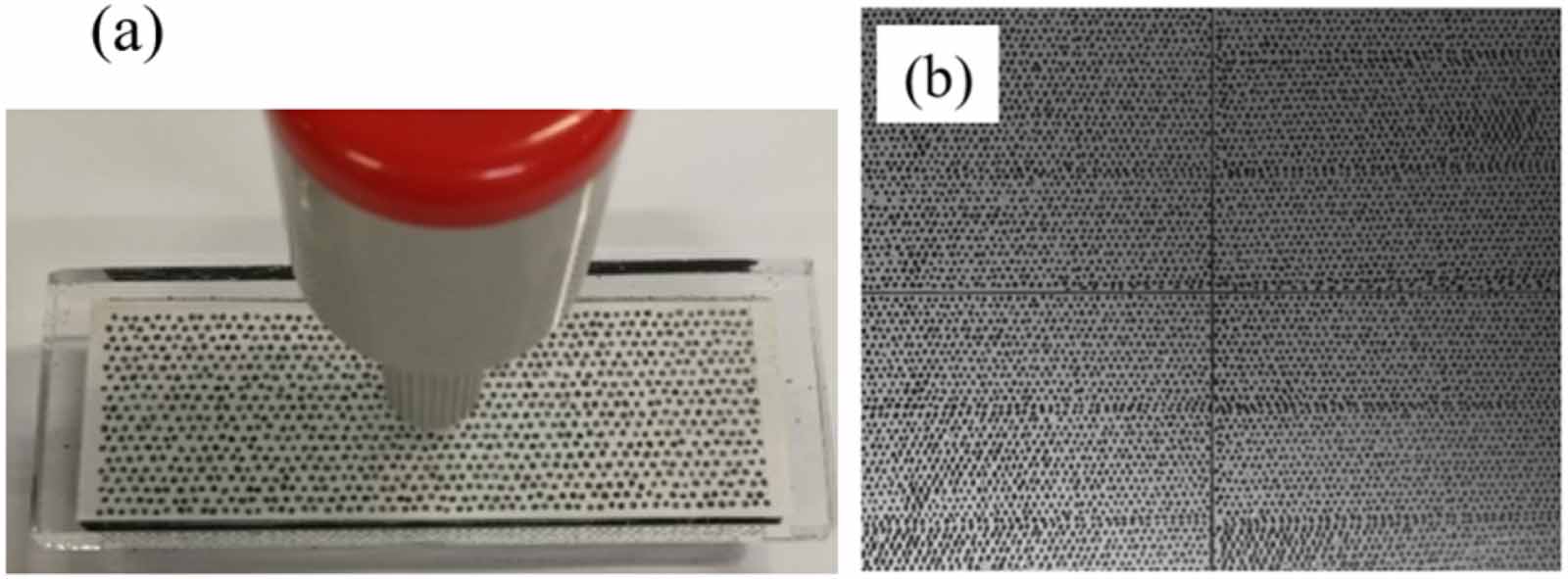 Speckle patterns for DIC in challenging scenarios: rapid application ...