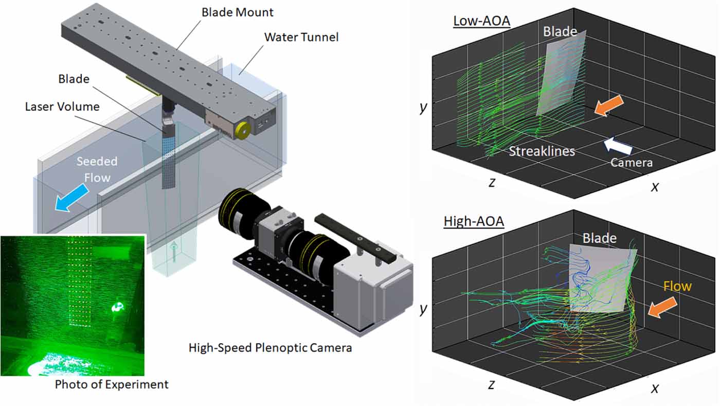 Perspective on the development and application of light-field cameras ...