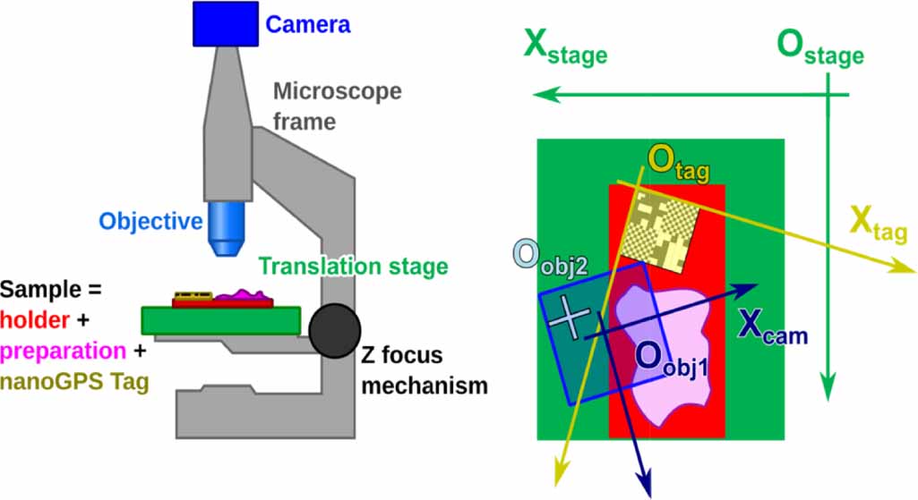 An efficient solution for correlative microscopy and co-localized ...