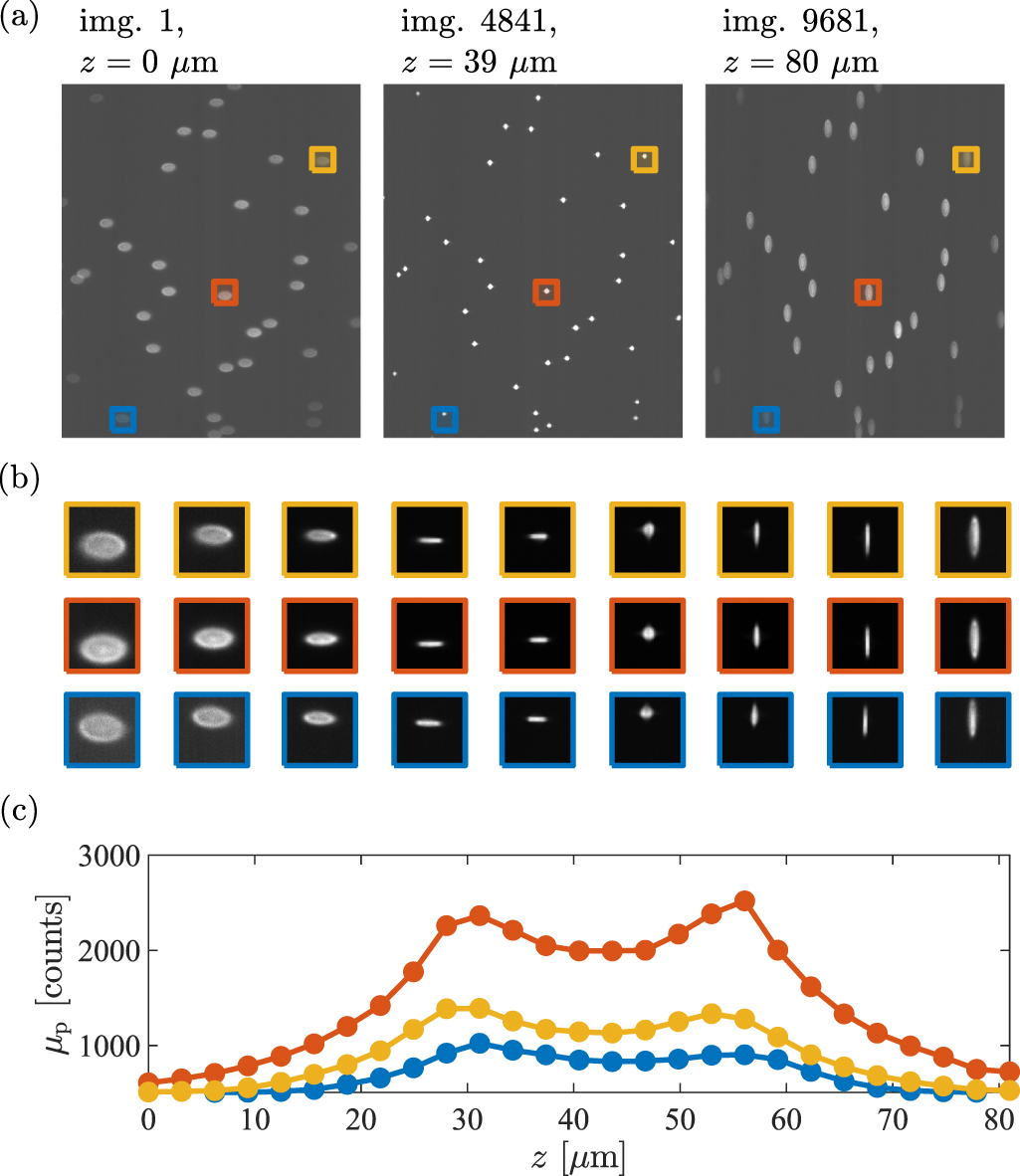 Defocus particle tracking: a comparison of methods based on model ...