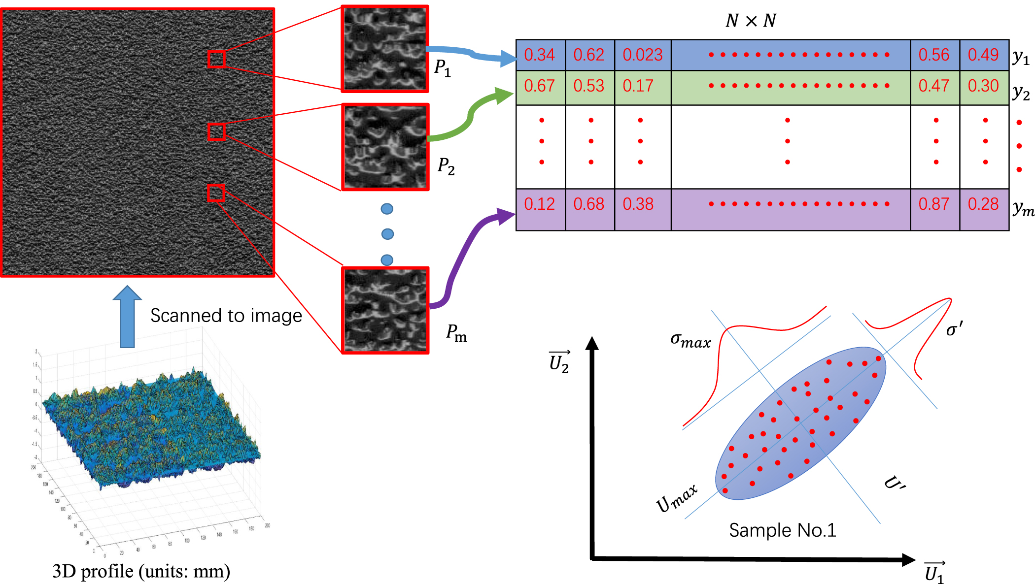 Visual perception of surface roughness via maximum variance direction ...