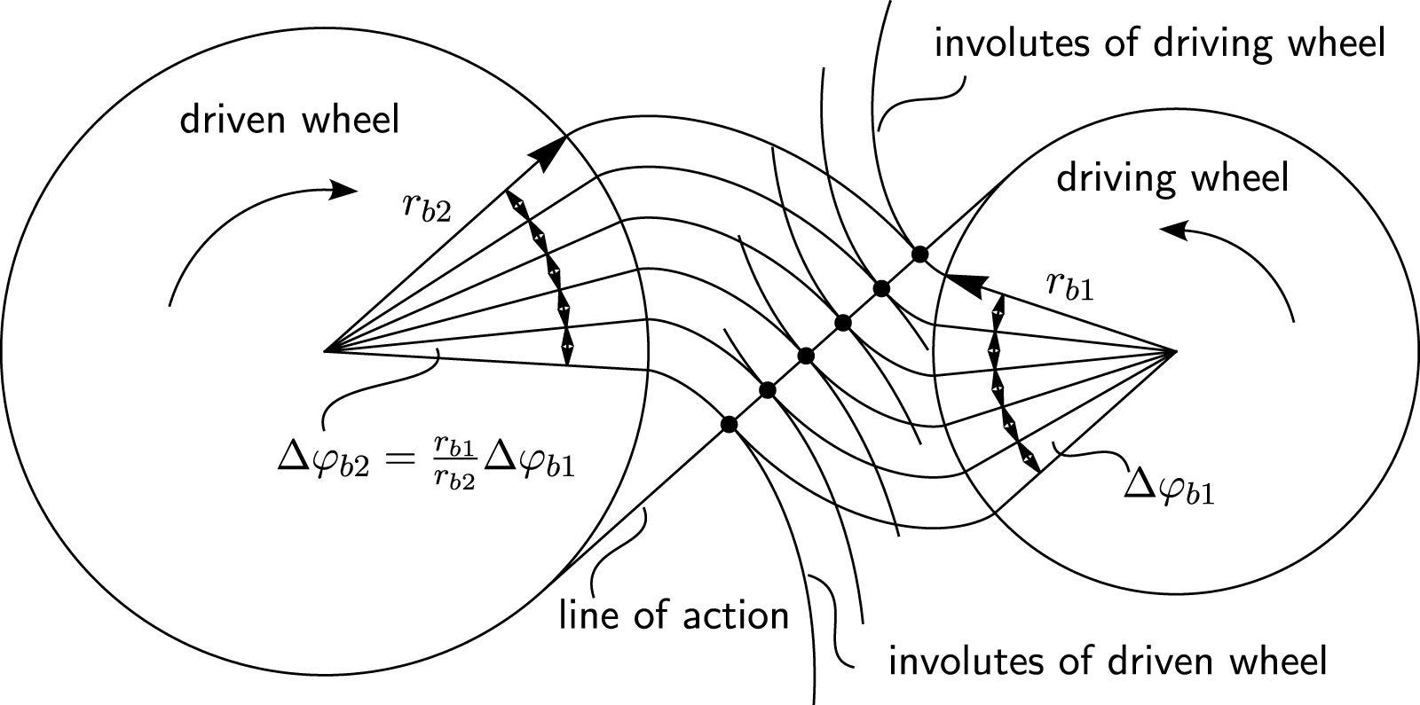 3D involute gear evaluation - part II: deviations - basic algorithms ...