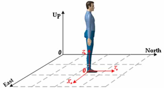 A single foot-mounted pedestrian navigation algorithm based on the maximum gait displacement ...