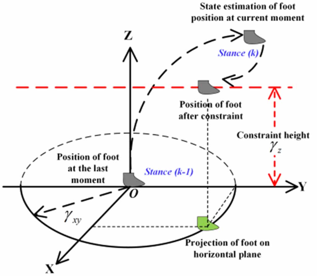 A single foot-mounted pedestrian navigation algorithm based on the maximum gait displacement ...