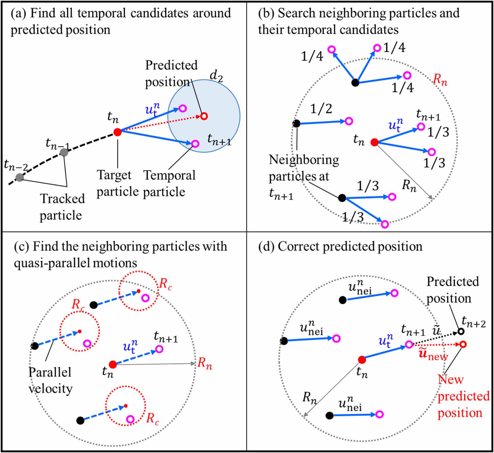 Volumetric particle tracking velocimetry with improved algorithms using a two-view shadowgraph ...