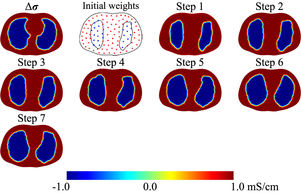An adaptive parametric level-set method for lung health monitoring with ...