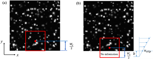 Correlation-based algorithms for accurate PIV measurement near the slip boundary - IOPscience