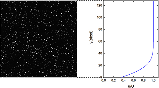 Correlation-based algorithms for accurate PIV measurement near the slip ...