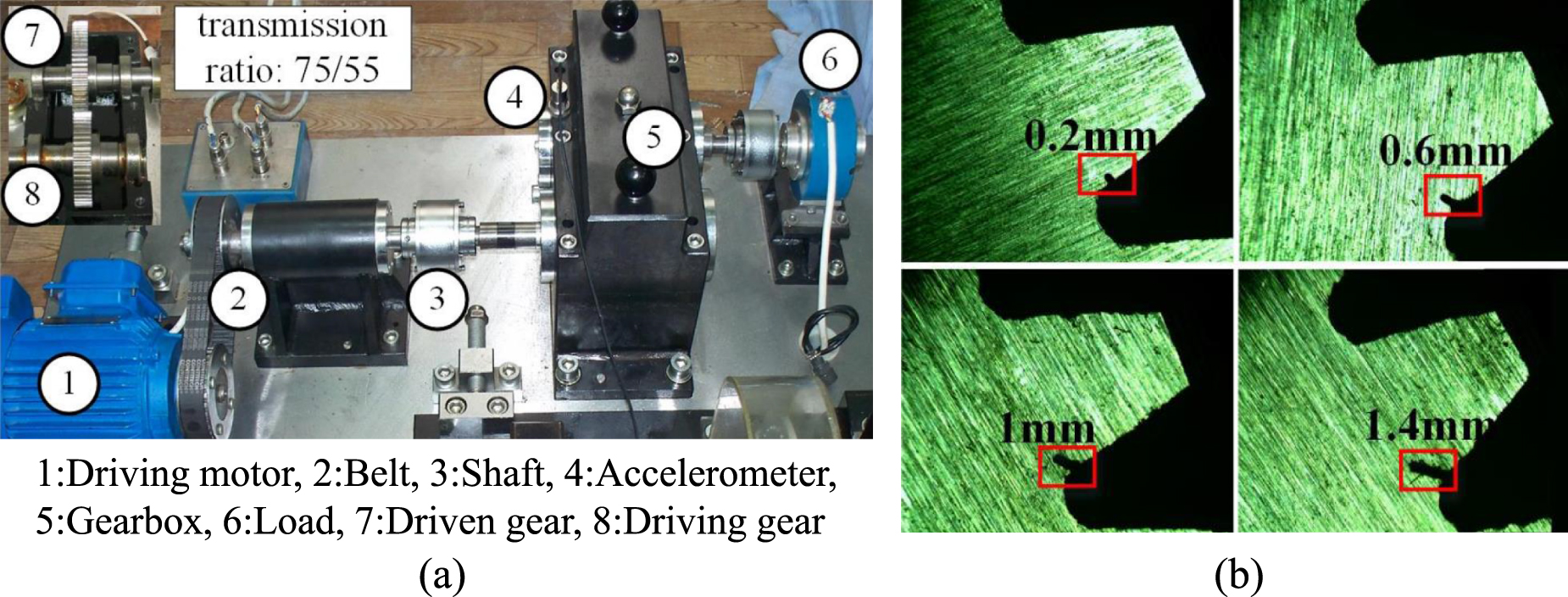 A dual-view network for fault diagnosis in rotating machinery using unbalanced data - IOPscience