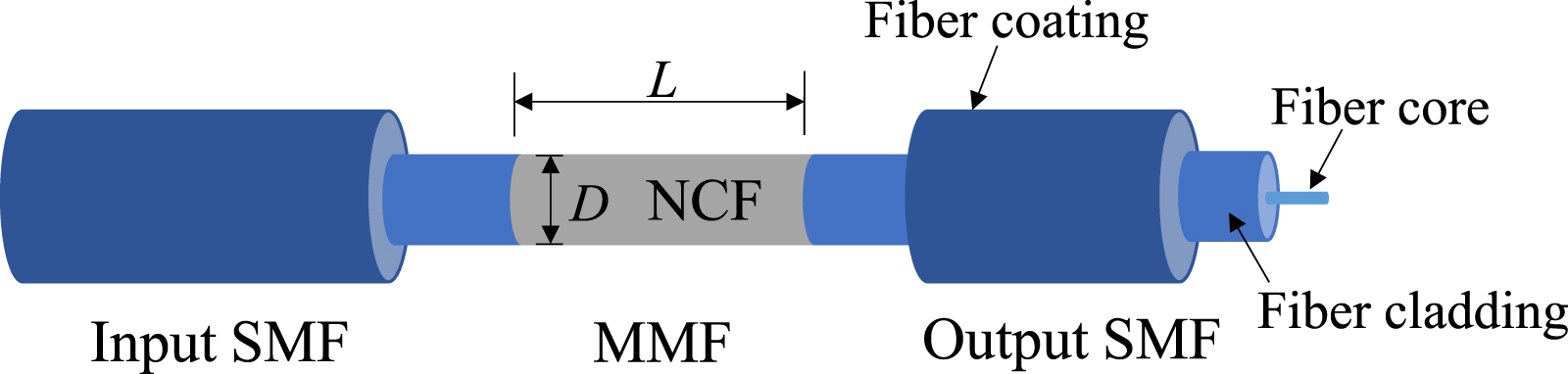 Characterization of single-mode multimode single-mode fiber optic ...