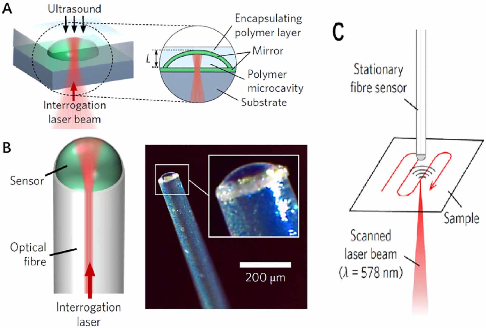 Prospects on ultrasound measurement techniques with optical fibers ...