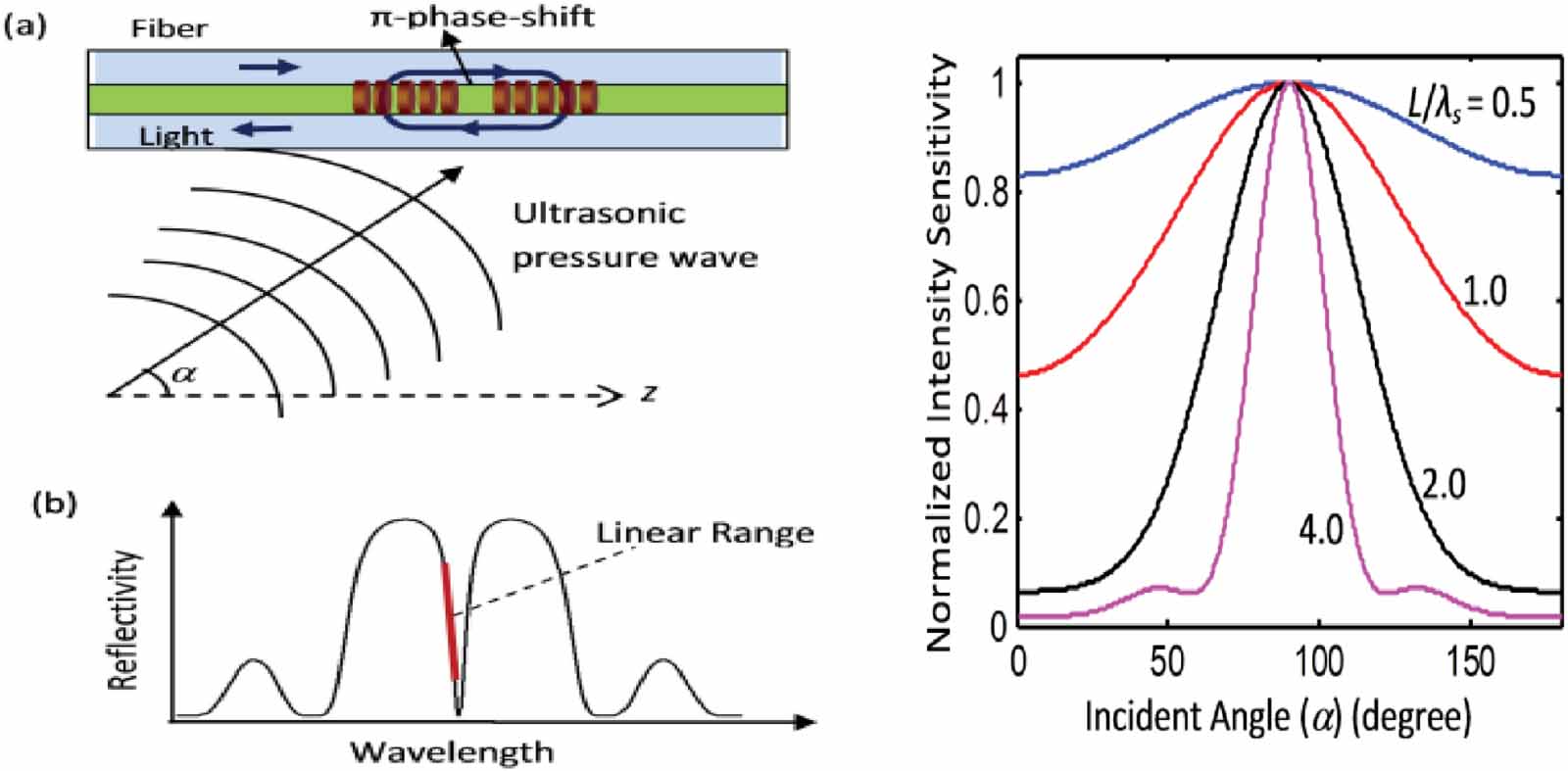 Prospects on ultrasound measurement techniques with optical fibers ...