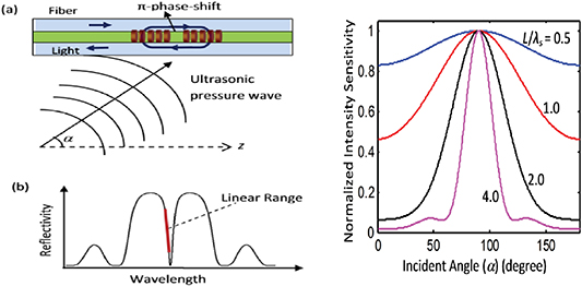 Prospects on ultrasound measurement techniques with optical fibers ...