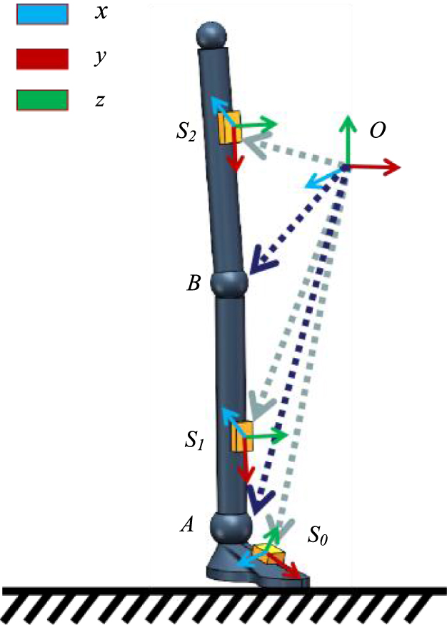 A tri-IMUs pedestrian positioning system based on single-lower-limb ...