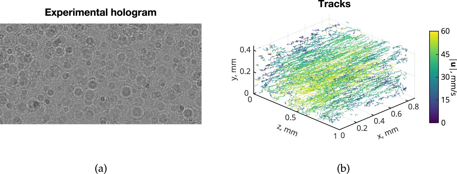 Stochastic particle advection velocimetry (SPAV): theory, simulations ...