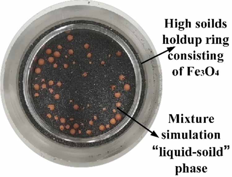 Removal of the effect of the high solids holdup ring in the fluidized ...