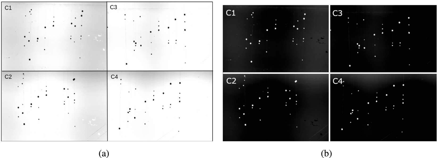 Sizing of particles and droplets using 3D-PTV, an OpenPTV post ...