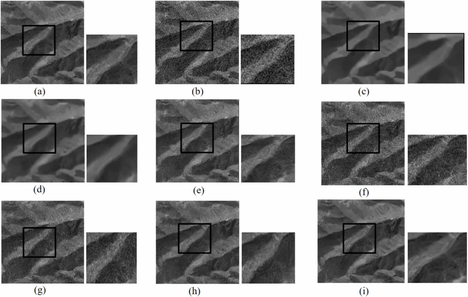 Synthetic aperture radar images denoising based on multi-scale ...