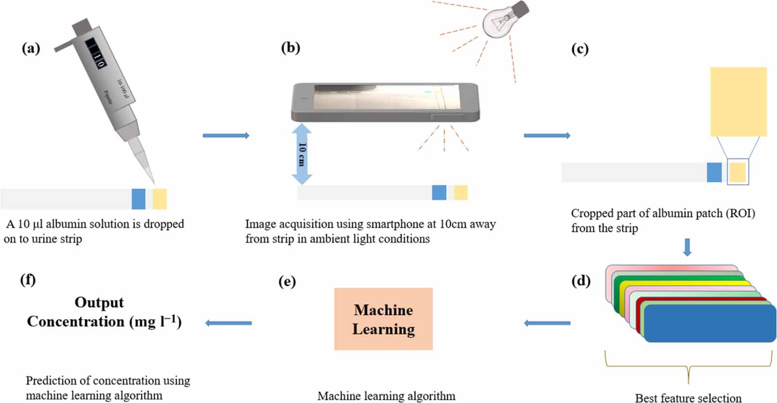 Colorimetry-based and smartphone-assisted machine-learning model for quantification of urinary ...