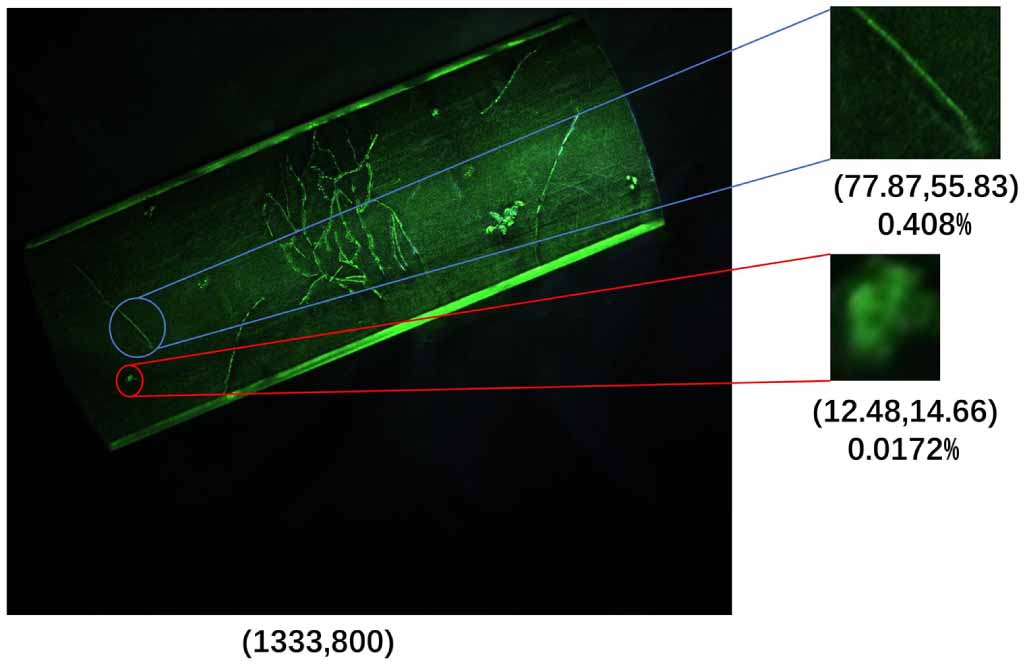 Adaptive receptive field based on multi-size convolution kernel for ...