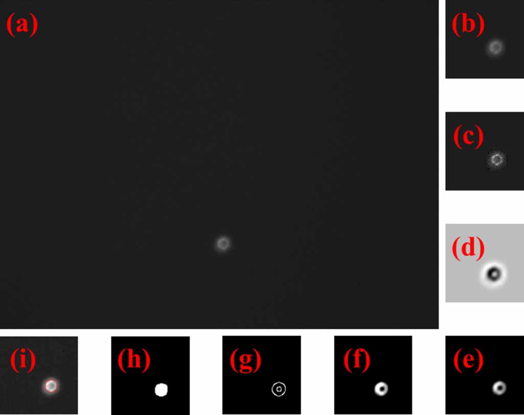 Design and experiment of a lightweight cloud particle imager - IOPscience