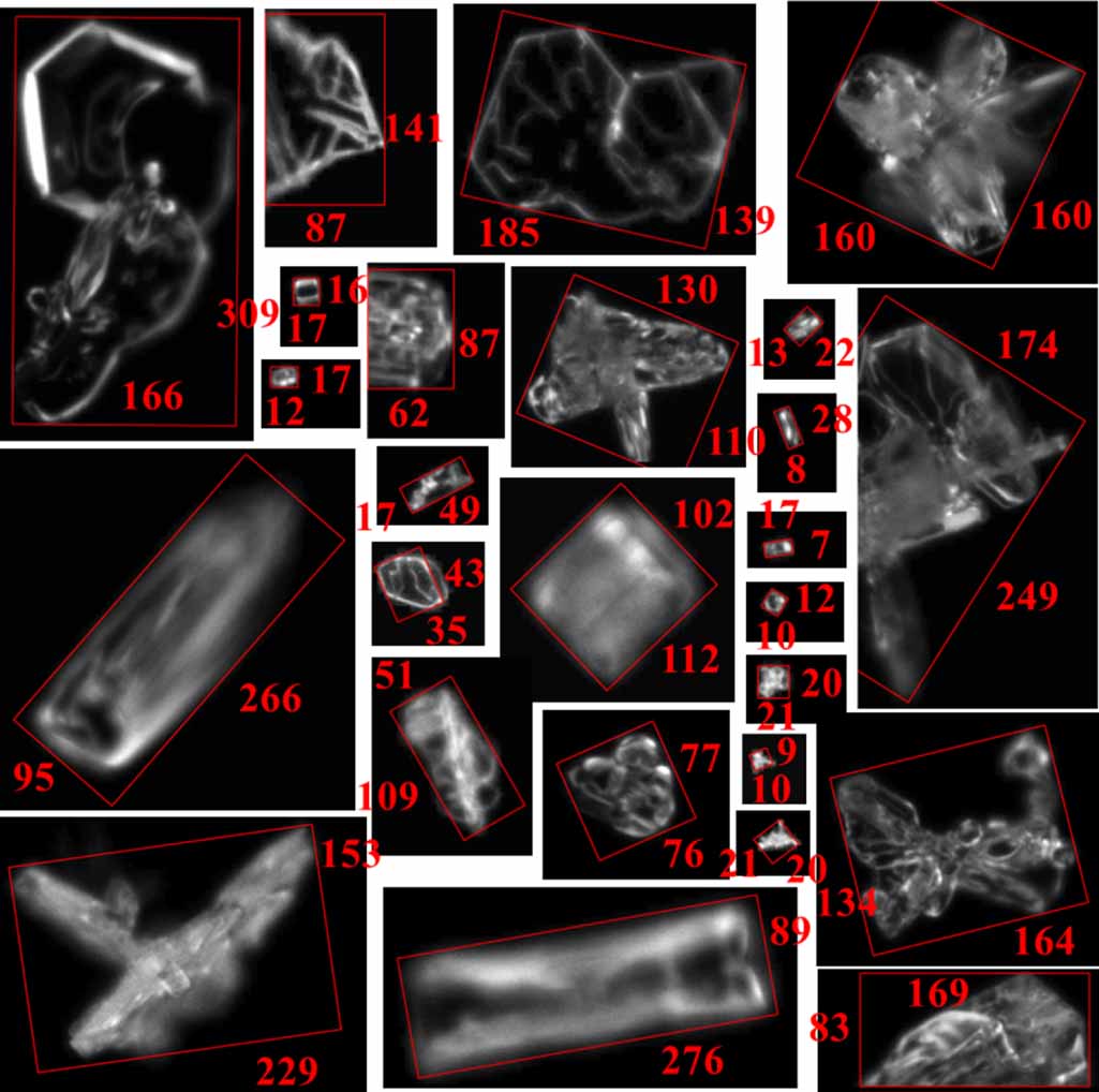 Design and experiment of a lightweight cloud particle imager - IOPscience