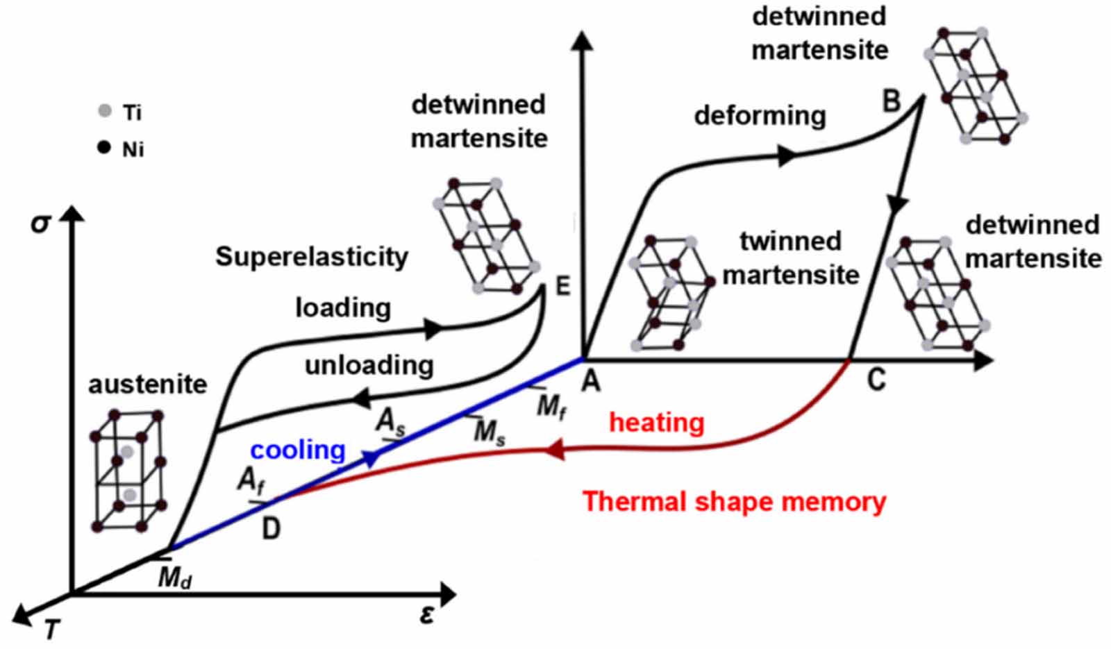 Exploring the potential of 3D printing for shape memory alloys: a ...