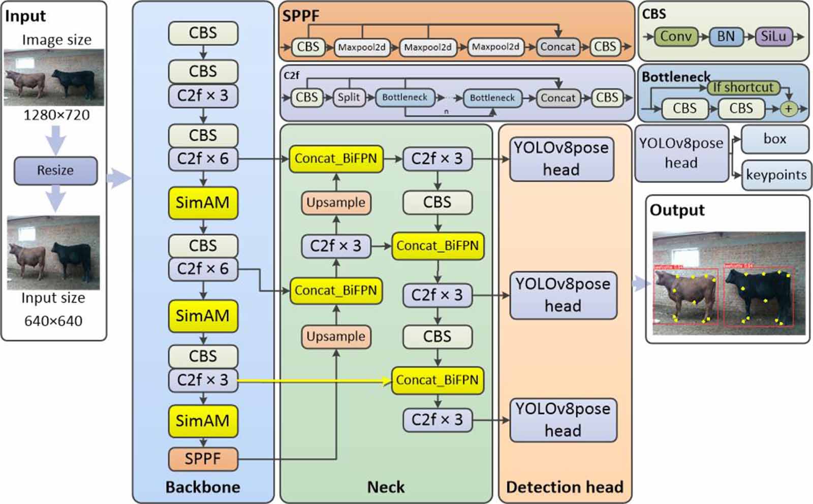 Automated body measurement of beef cattle based on keypoint detection and local point cloud ...