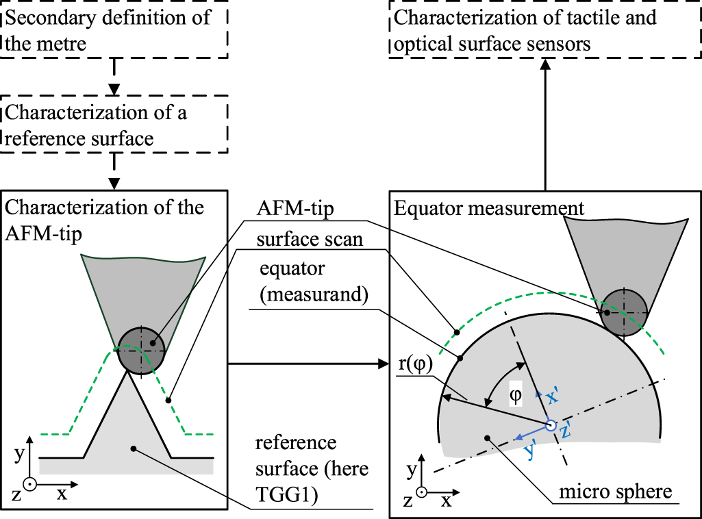 Influence of the reference surface and AFM tip on the radius and ...