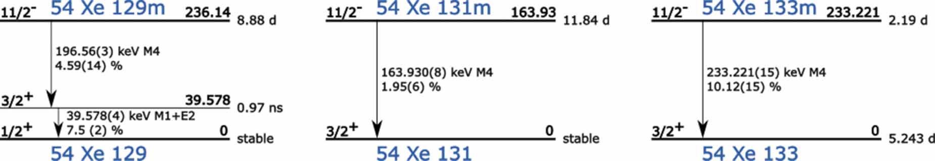 A numerical study of the anisotropic distribution of γ-ray emission ...