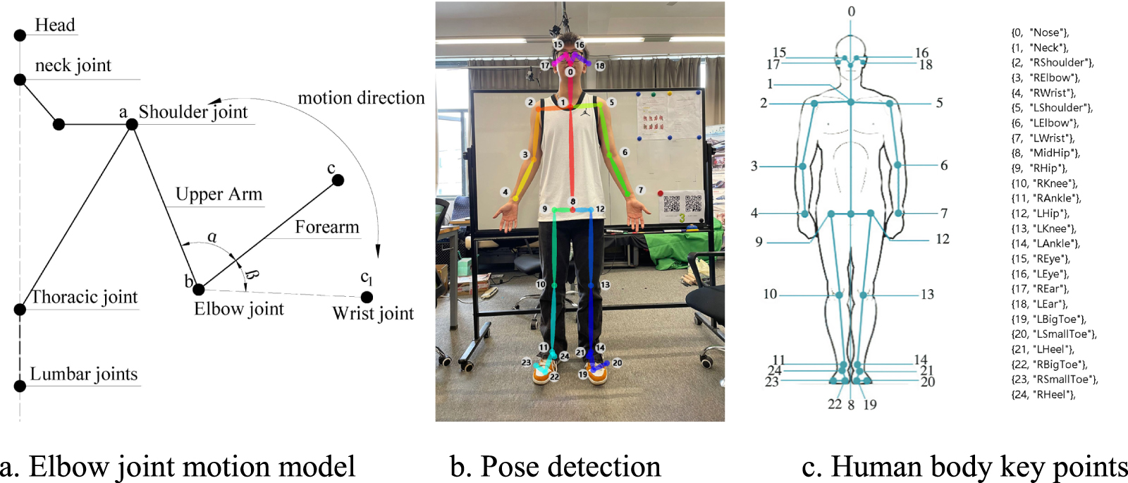 Model for predicting the angles of upper limb joints in combination with sEMG and posture ...