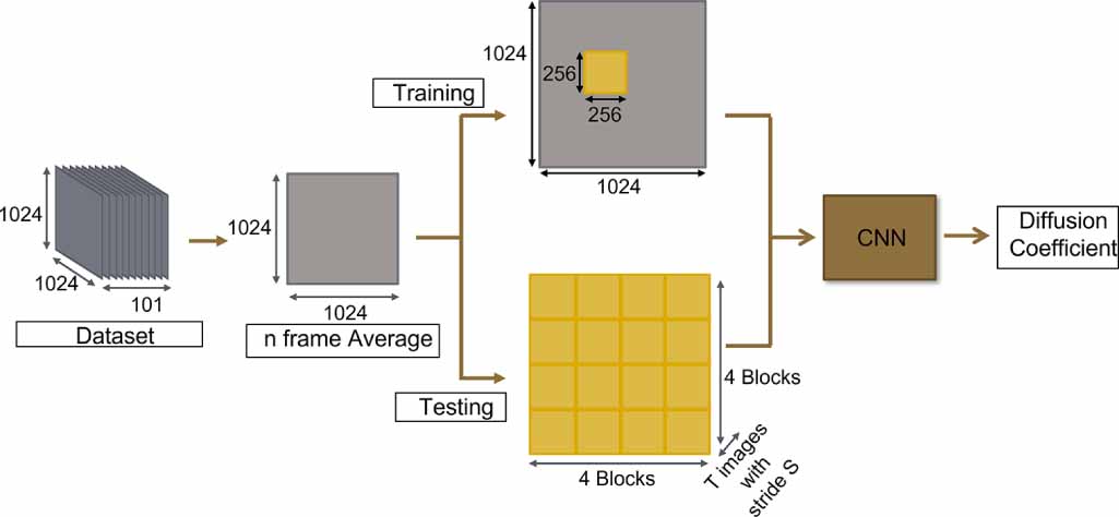 Deep particle diffusometry: convolutional neural networks for particle diffusometry in the ...