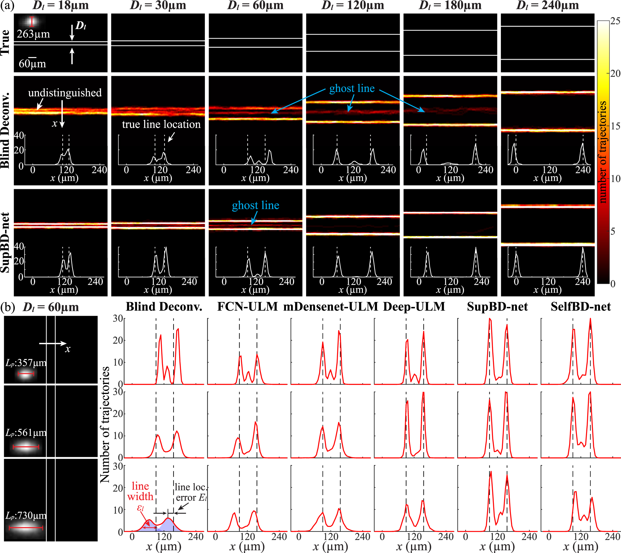 Improving sub-pixel accuracy in ultrasound localization microscopy using supervised and self ...