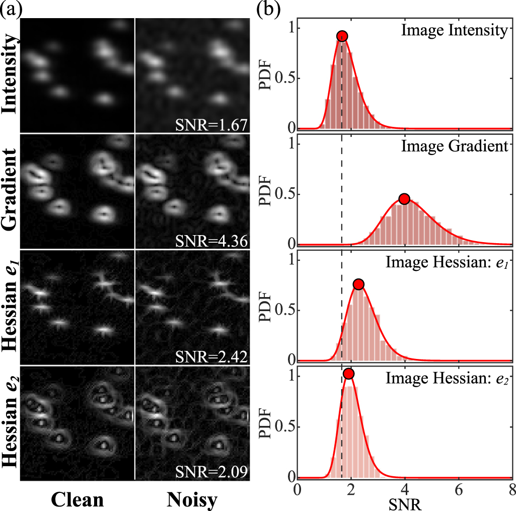 Improving sub-pixel accuracy in ultrasound localization microscopy ...