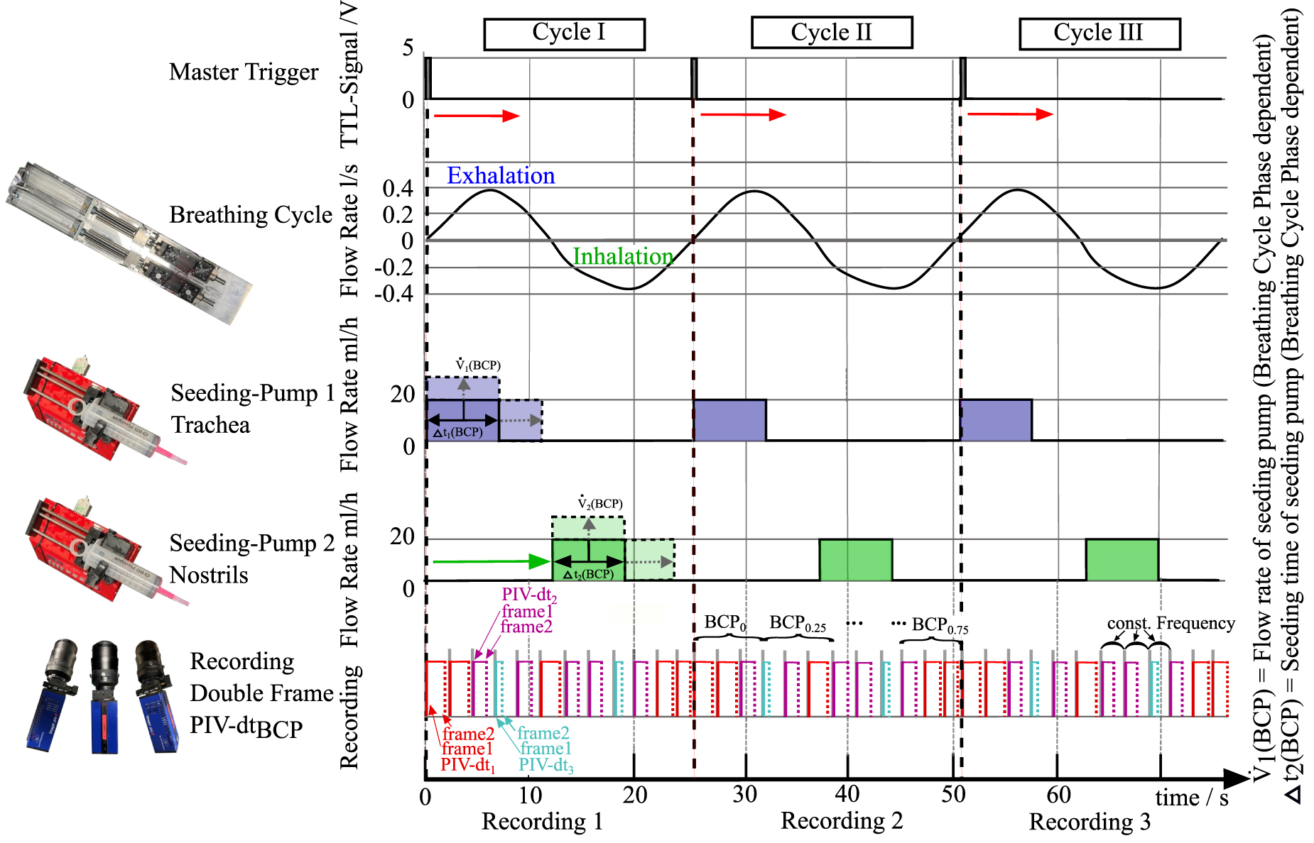 Tomo-PIV in a patient-specific model of human nasal cavities: a ...