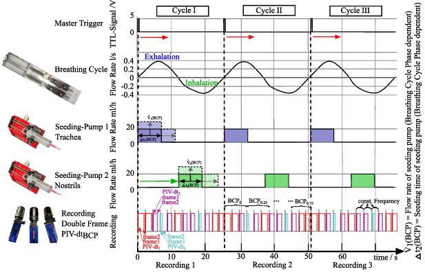 Tomo-PIV in a patient-specific model of human nasal cavities: a ...