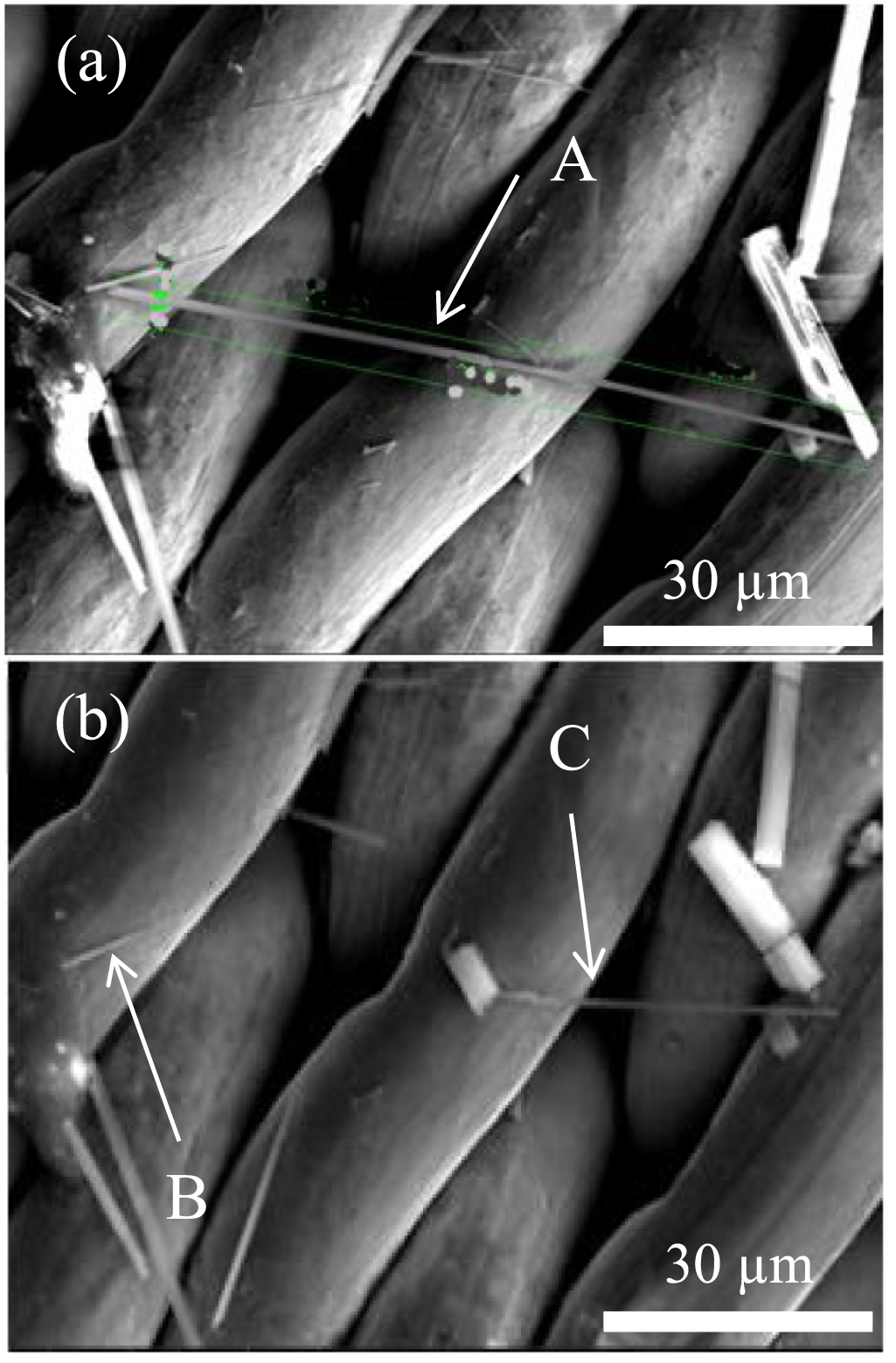 Mechanical strength measurement of needle-shaped CaSO4 microcrystals by ...