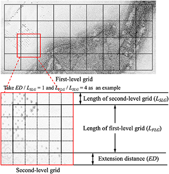 Multisource elevations strategy obtaining robust seed points and ...