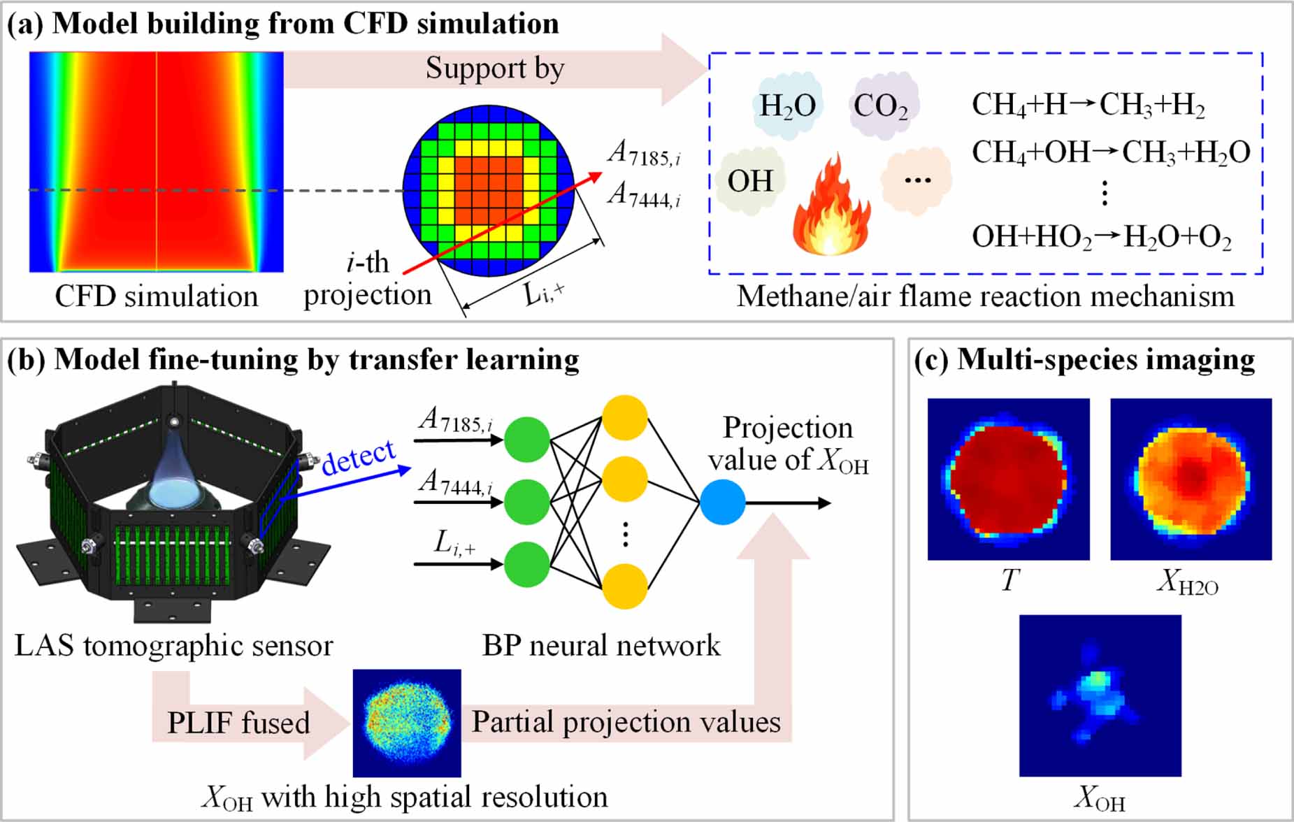 Multiple species imaging from CFD fused H2O absorption spectral ...